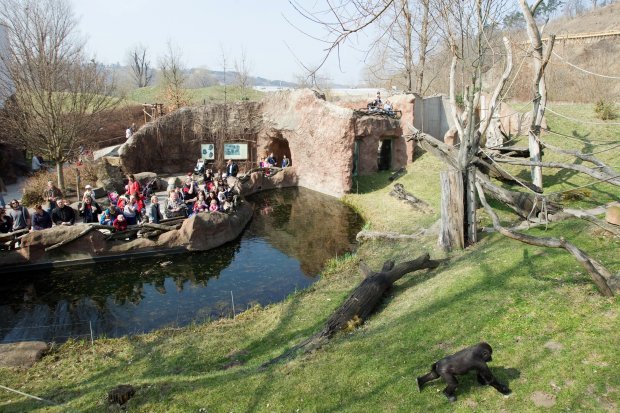 Le Zoo de Prague | Avantgarde Prague