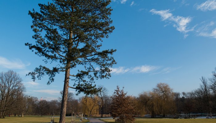 Le parc de Stromovka | Avantgarde Prague